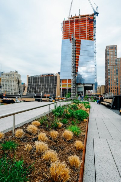 Walking The High Line Urban Park in New York City | Meeting Fires Creative